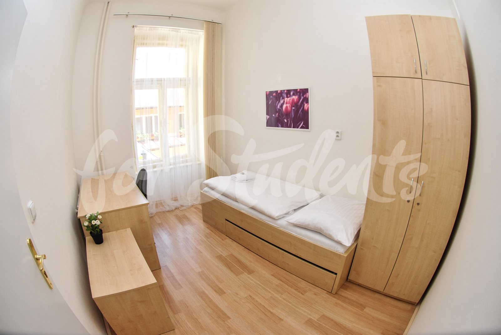 Accommodation in Brno for erasmus students and expats. Various types of ...